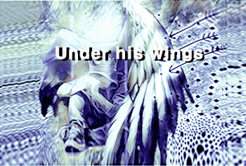 Under his wings | Praise Jesus